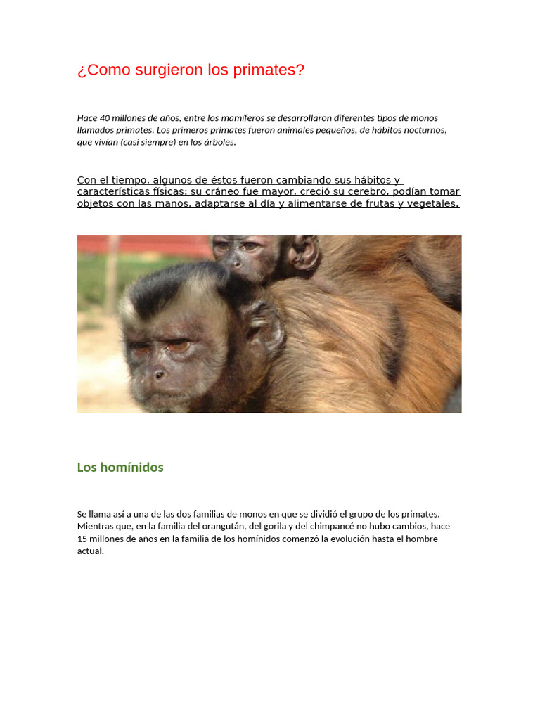 Origen y evolución de los primates | PDF