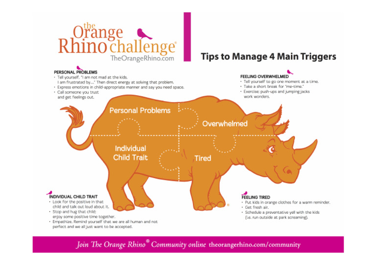 Orange Rhino 4 Main Triggers | PDF