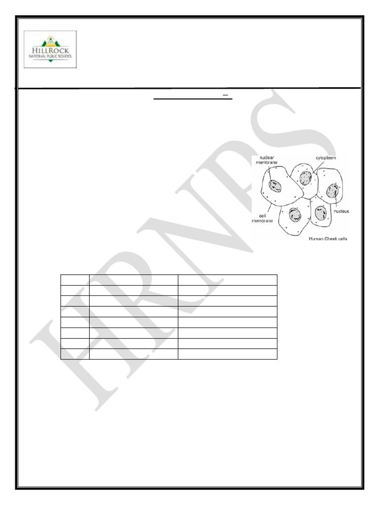 Cheek Cell Staining Experiment Guide | PDF