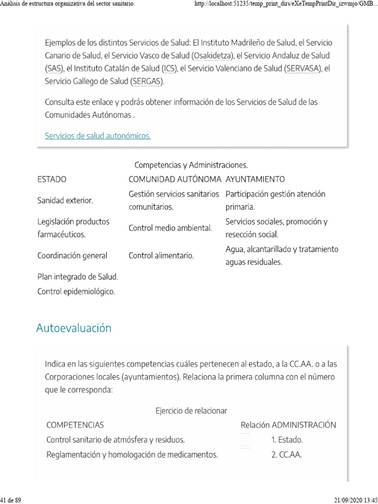 Análisis de Estructura Organizativa Del Sector Sanitario-41-89 | PDF