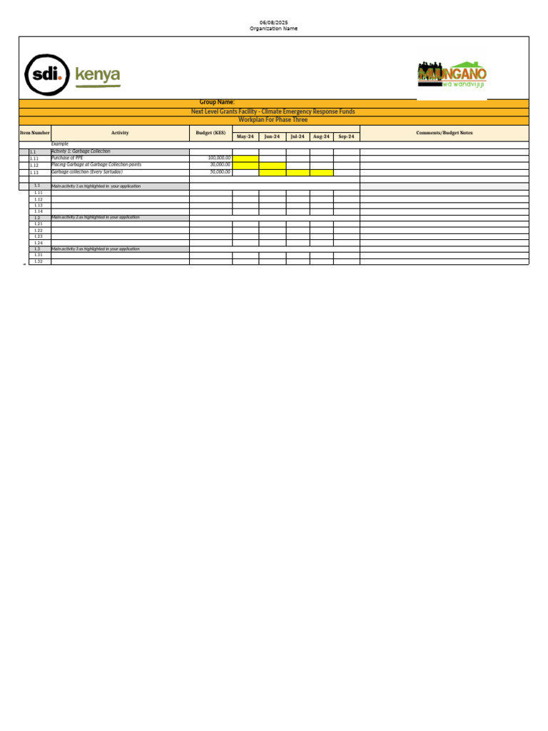 NLGF Workplan Template Phase 3 | PDF