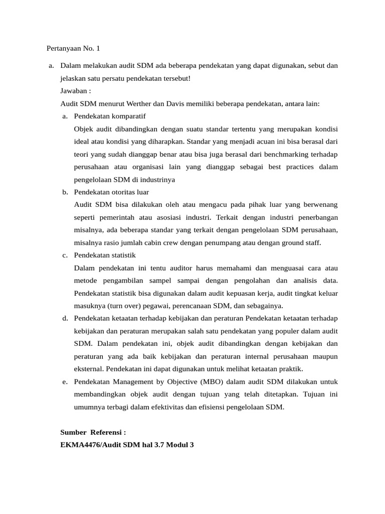 TMK 2 Audit SDM | PDF