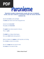 Afrikaans Homonieme en Homofone 1 Ws1 | PDF