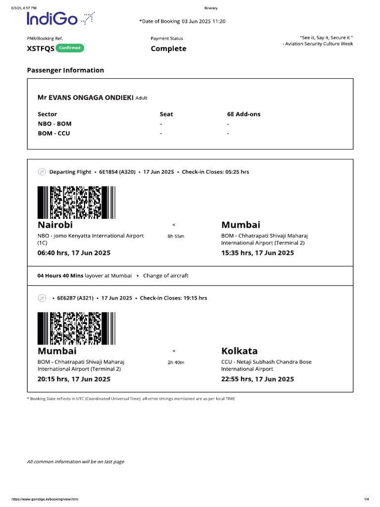Indigo Ticket | PDF