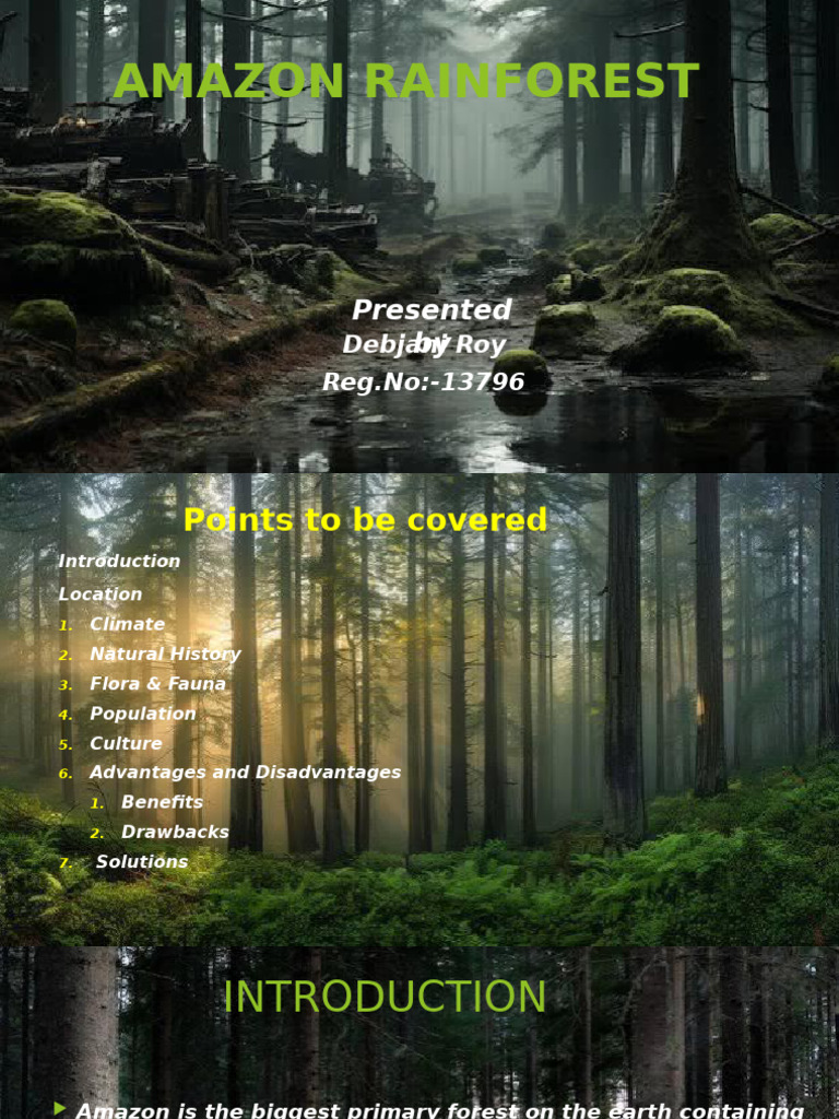 Amazon Rainforest | PDF | Amazon Rainforest | Natural Environment