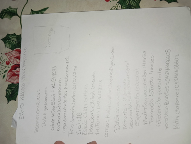 Image 20250514 1319 | PDF