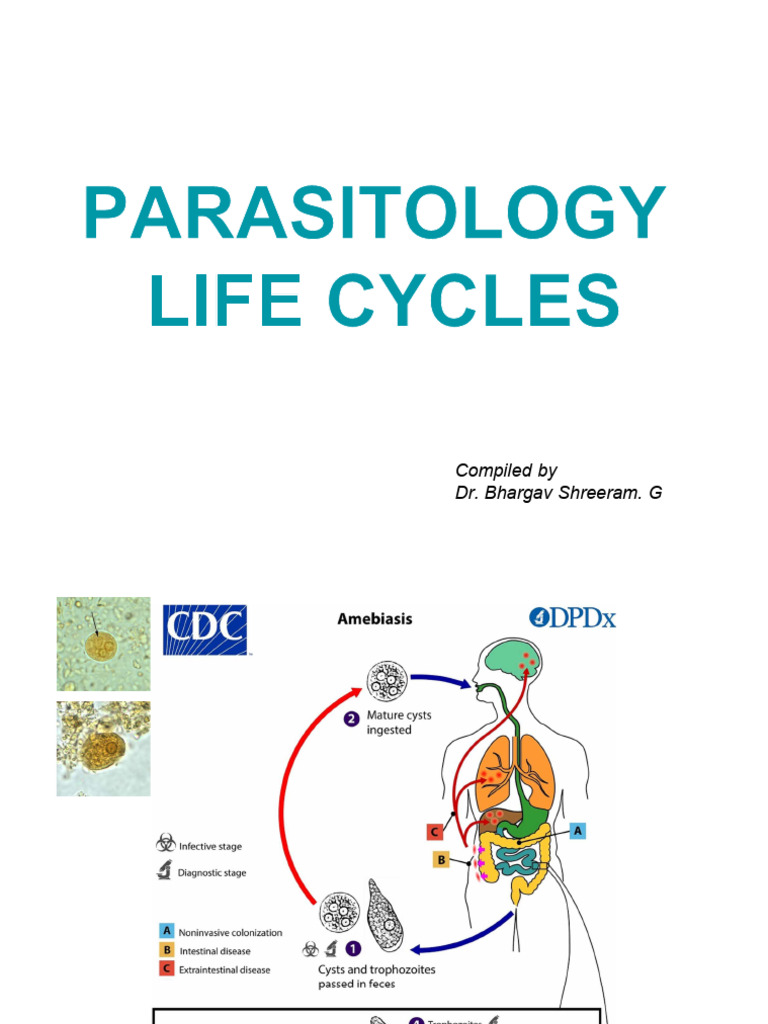 Parasitic Infections and Hosts Guide | PDF