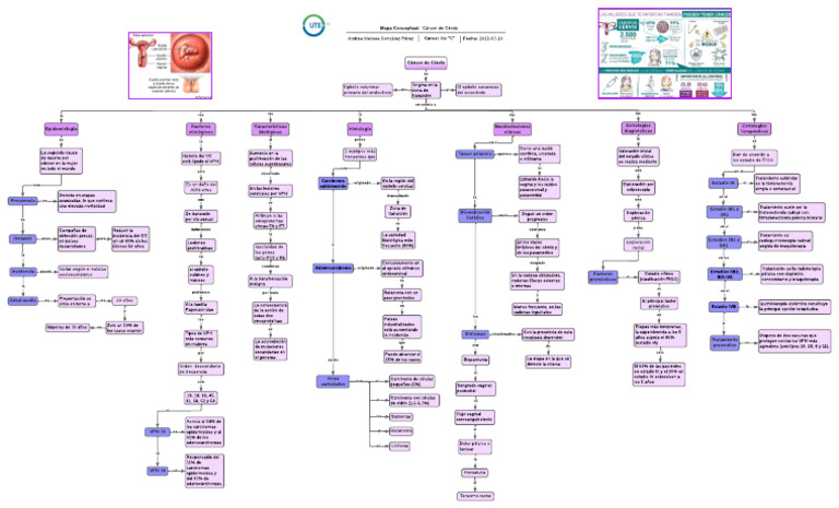 Mapa Conceptual del Cáncer de Cérvix | PDF | Cáncer de cuello uterino ...