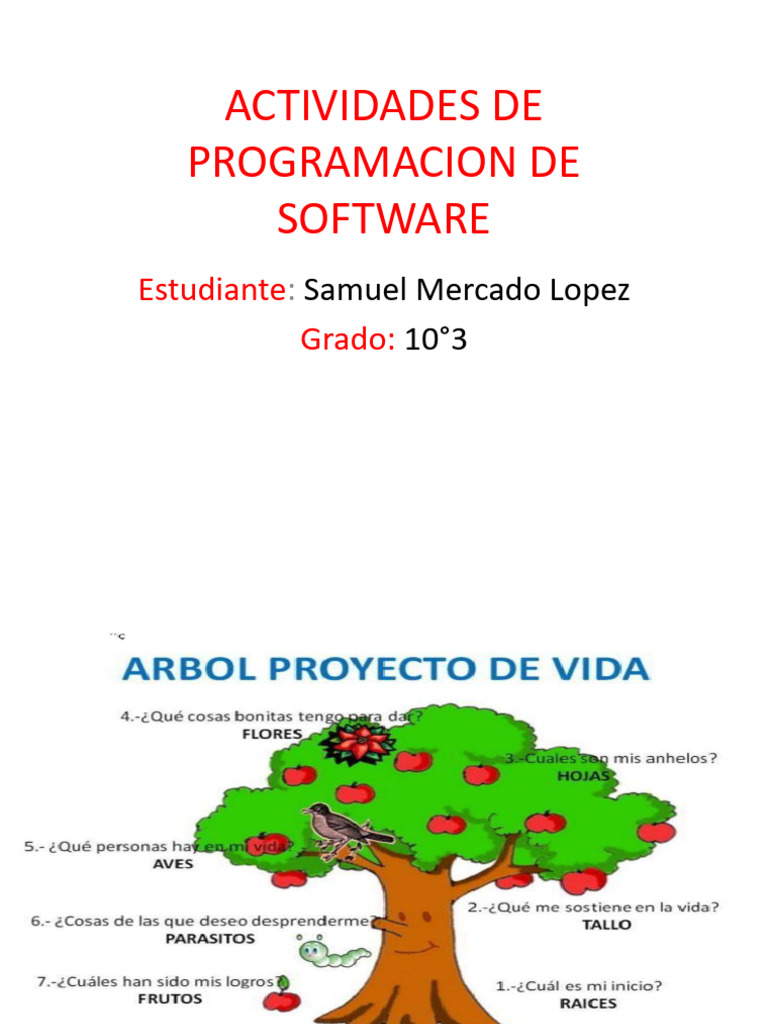 Actividad de Programacion de Software | PDF