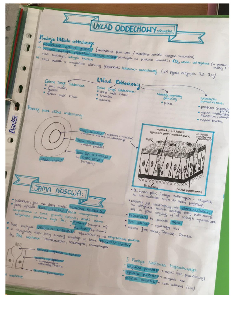 Dok 4 | PDF