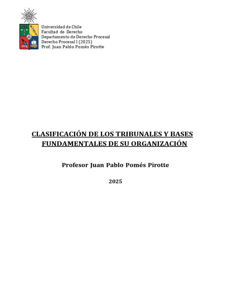 JPPP 2025 Clasificaci N Tribs. y Bases Fundamentales | PDF ...