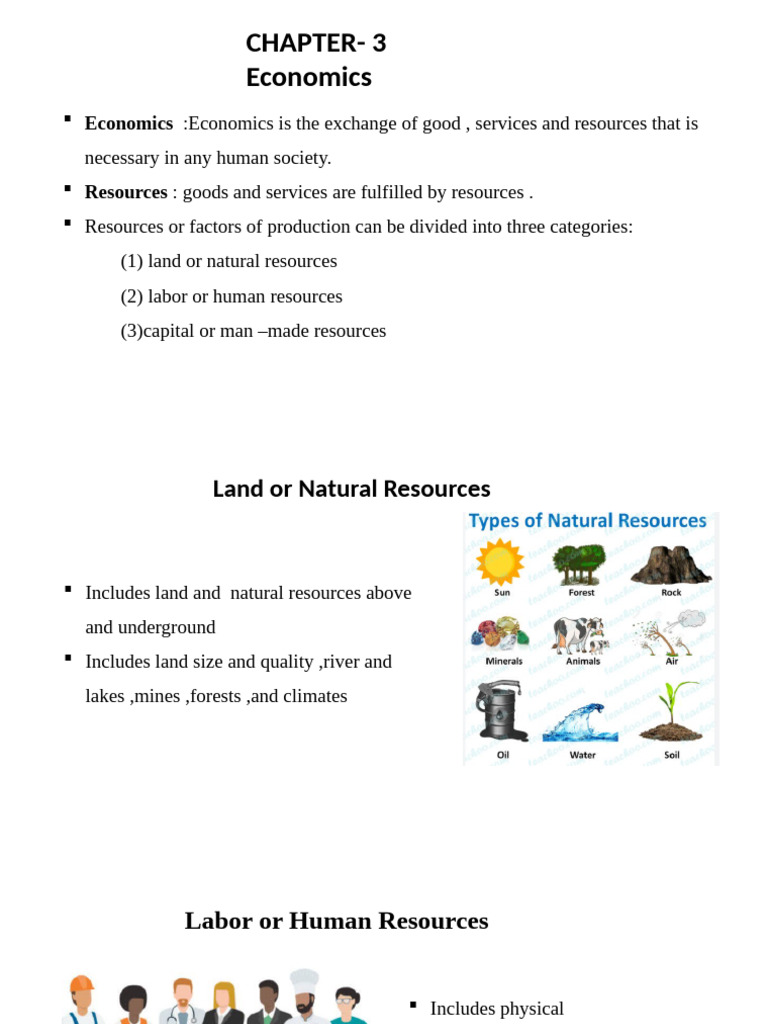 Understanding Economics and Resources | PDF | Labour Economics | Economics