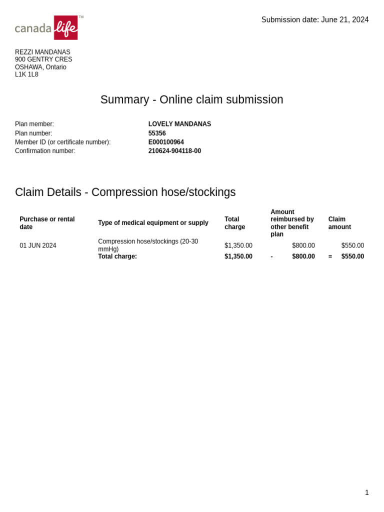 Summary - Online Claim Submission | PDF | Health Care