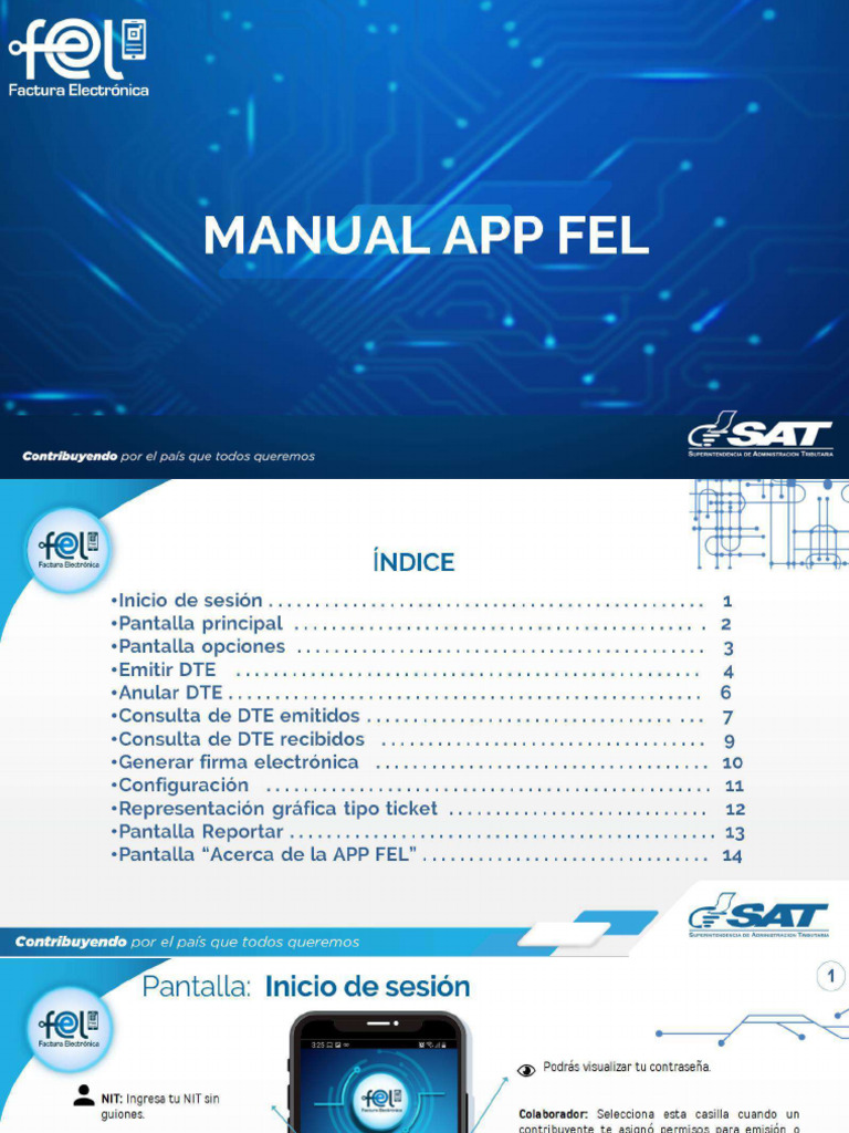 Manual de Usuario APP FEL | PDF