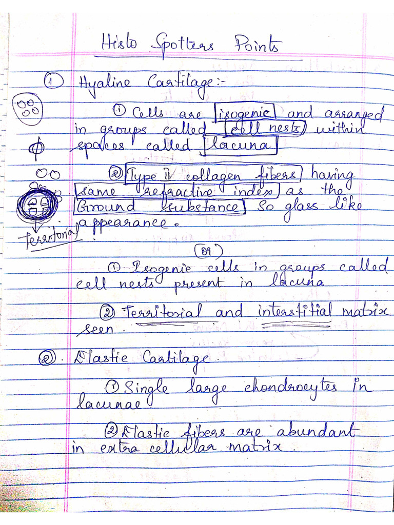 Histology Spotter Salient Points | PDF