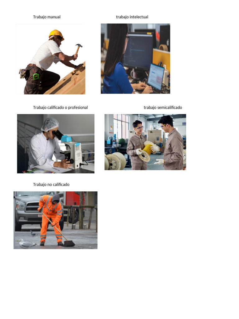 Tipos de Trabajo | PDF
