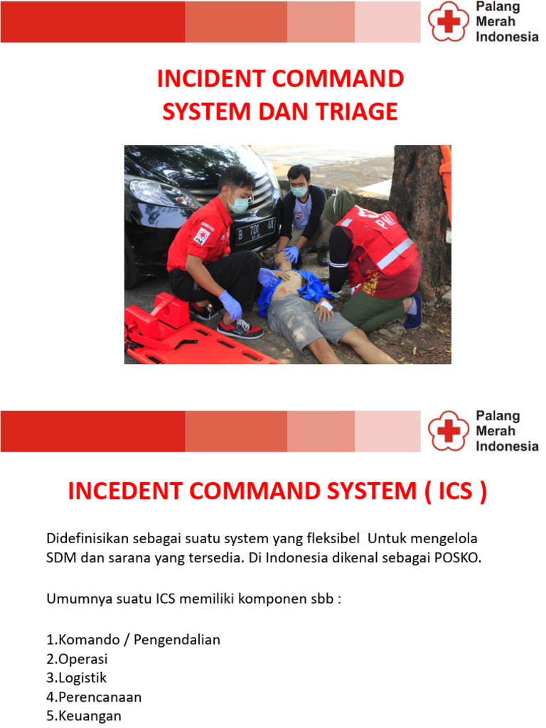 ICS & Triase | PDF