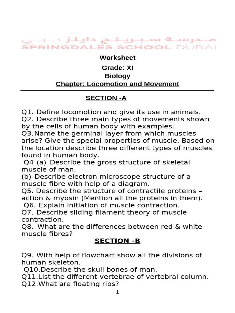 Class 11 Locomotion & Movement Worksheet | PDF
