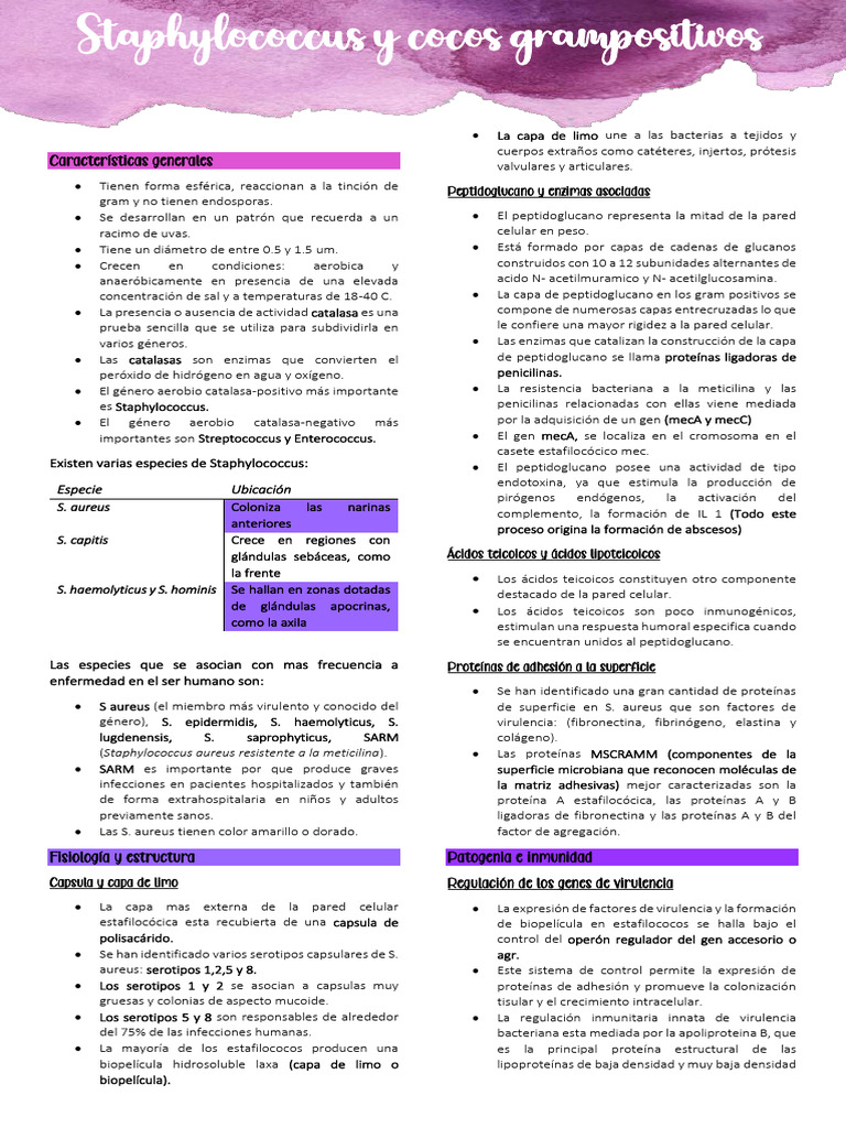 Staphylococcus | PDF | Staphylococcus Aureus | Inmunología