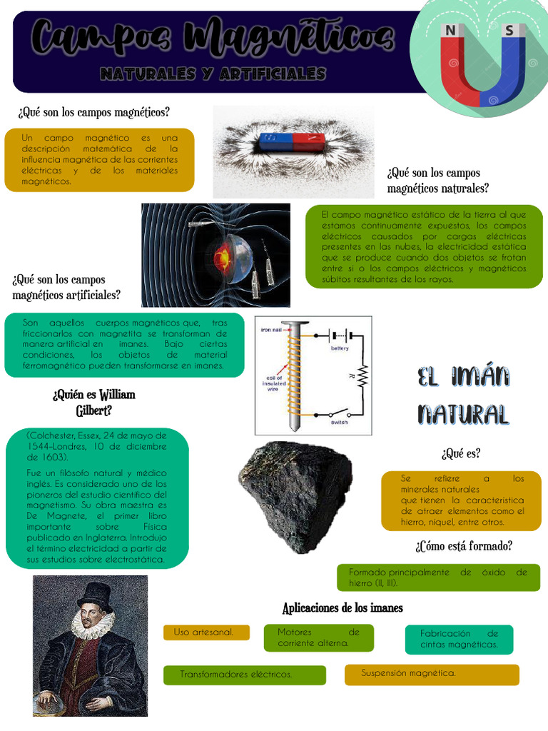 Campos Magneticos | PDF | Magnetismo | Imán