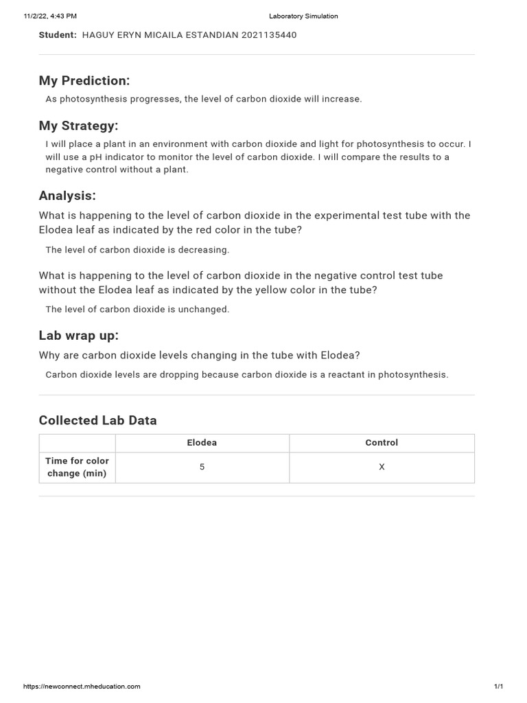 PT5 Photosynthesis - Carbon Dioxide Uptake | PDF