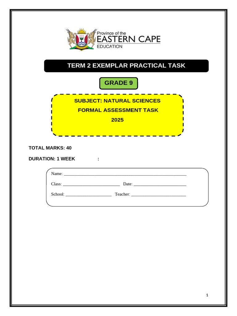 Grade 9 Natural Science Practical Task | PDF | Combustion | Chemistry