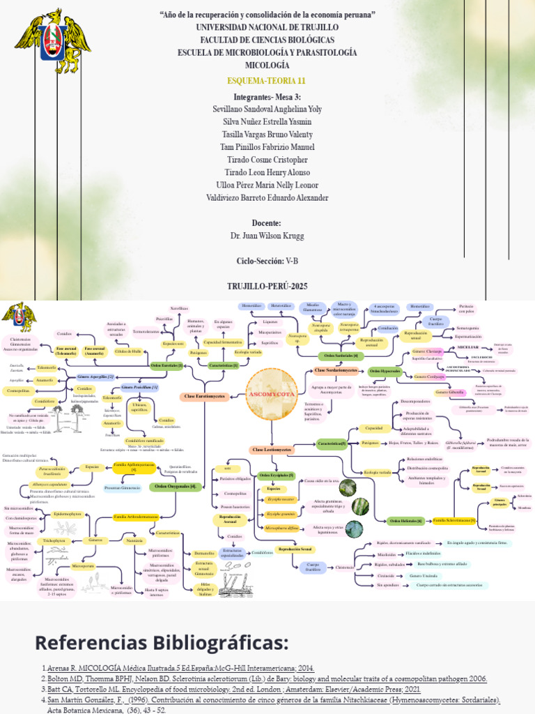 Esquema-Teoria 11 - M3 | PDF | Hongo | Micología
