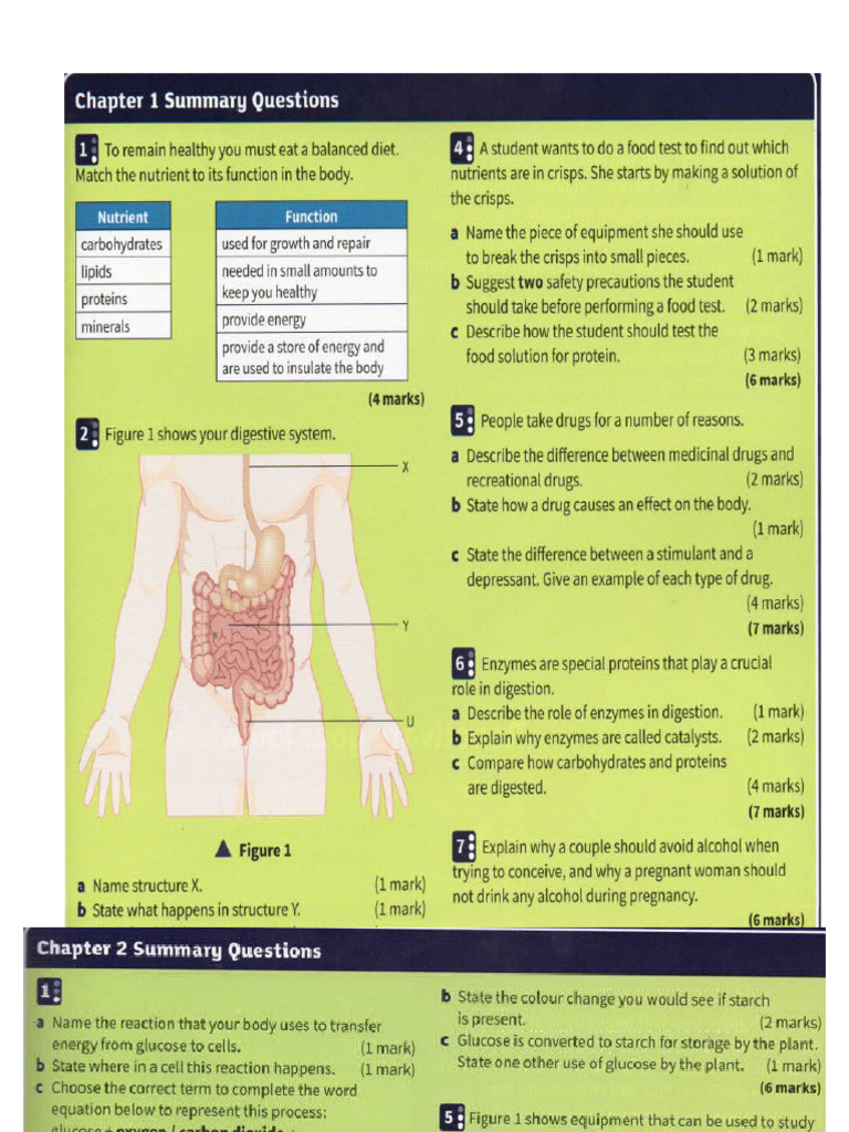 Biology Summary Activate 2 Questions and Answers | PDF