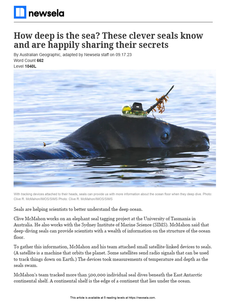 Clever Seals Dive Deep 2001041616 Article - Only | PDF | Ice | Oceans