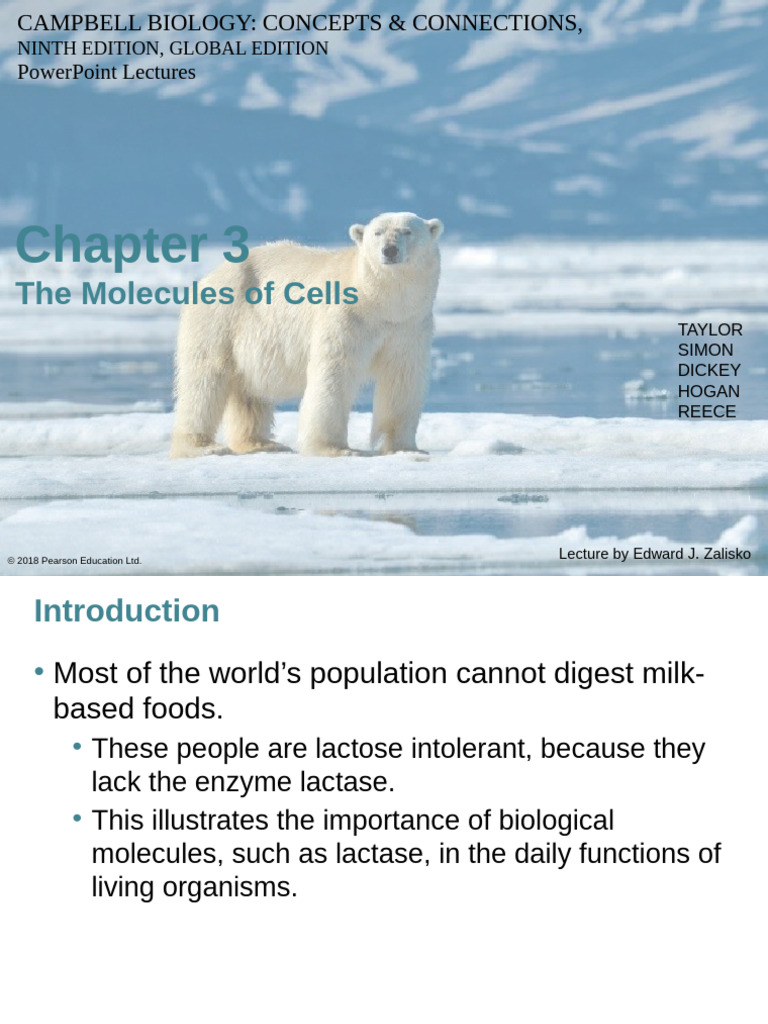 03 Lecture Presentation | PDF | Fat | Amino Acid