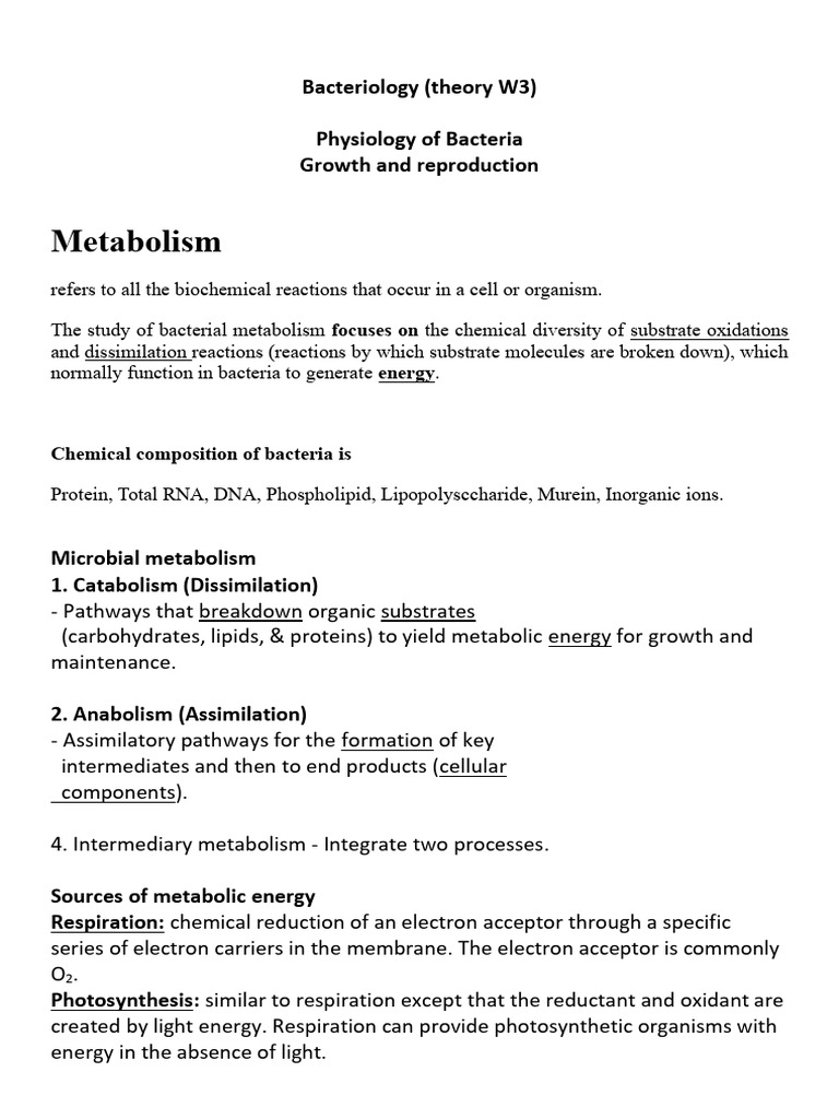 Bacterial Physiology and Metabolism Overview | PDF | Metabolism | Bacteria