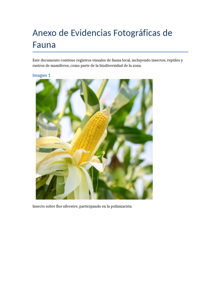 Evidencias de Fauna Local | PDF