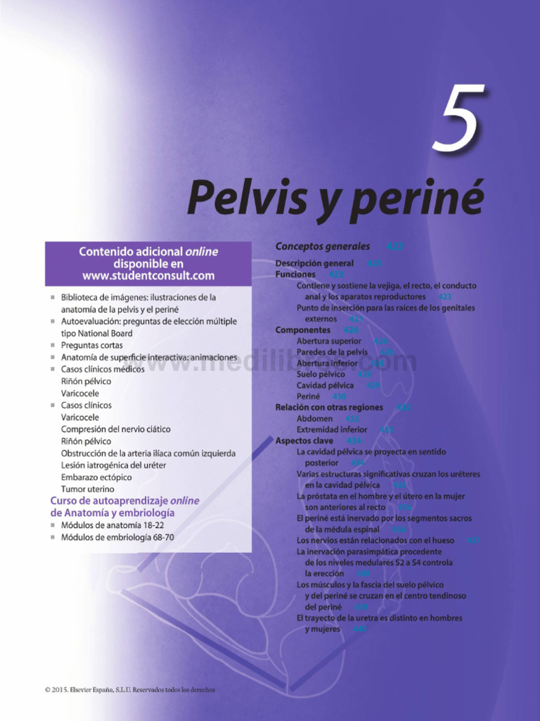 Anatomía de la Pelvis y el Periné | PDF | Pelvis | Sistema ...