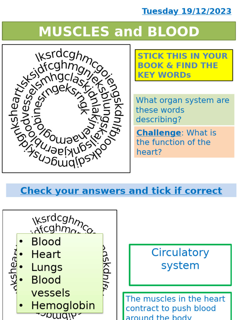 7A&C Lesson 8 - Muscles and Blood Kartik | PDF | Heart | Blood
