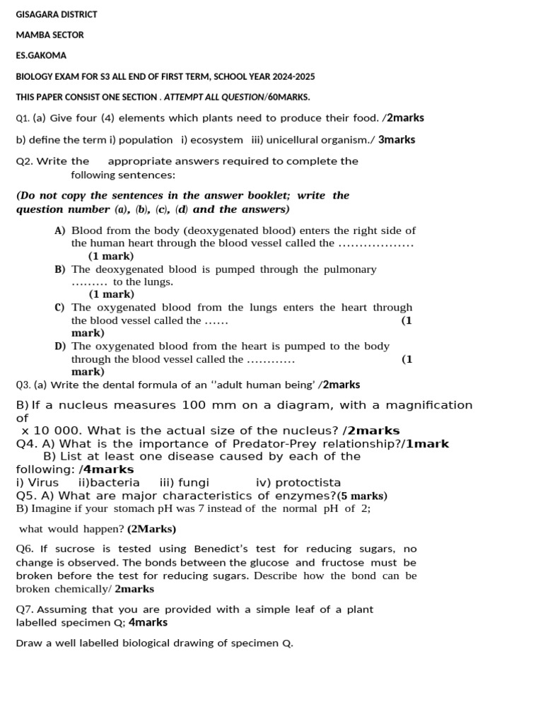 Biology Exam For S3 ALL FIRST TERM | PDF | Digestion | Blood