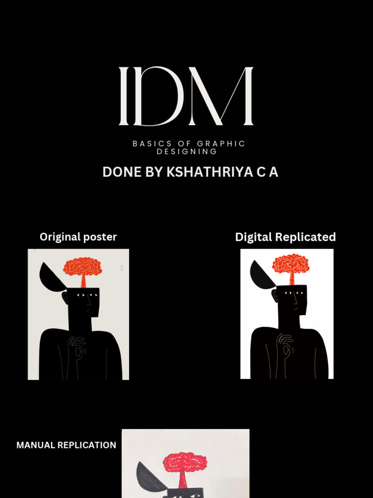 Idm Poster1 | PDF