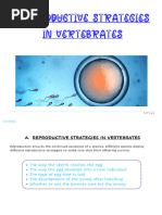 Reproductive Strategies in Vertebrates | PDF | Egg | Reproduction