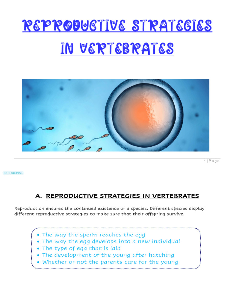 2025 Reproductive Strategies Learner | PDF | Egg | Fertilisation