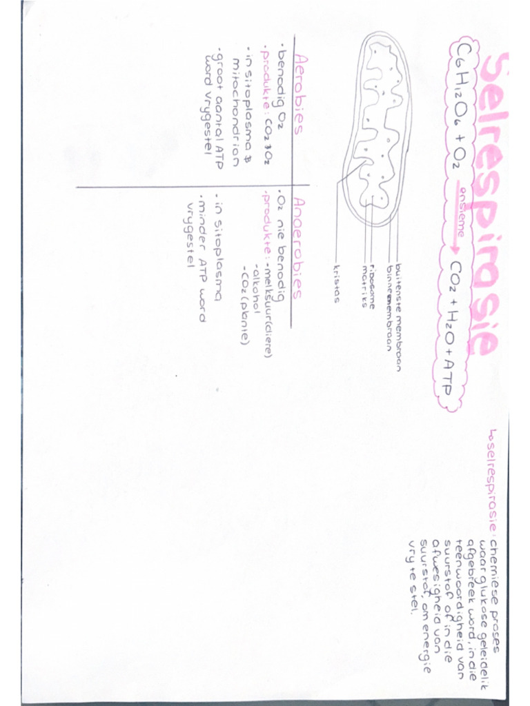 Scanned Pages | PDF