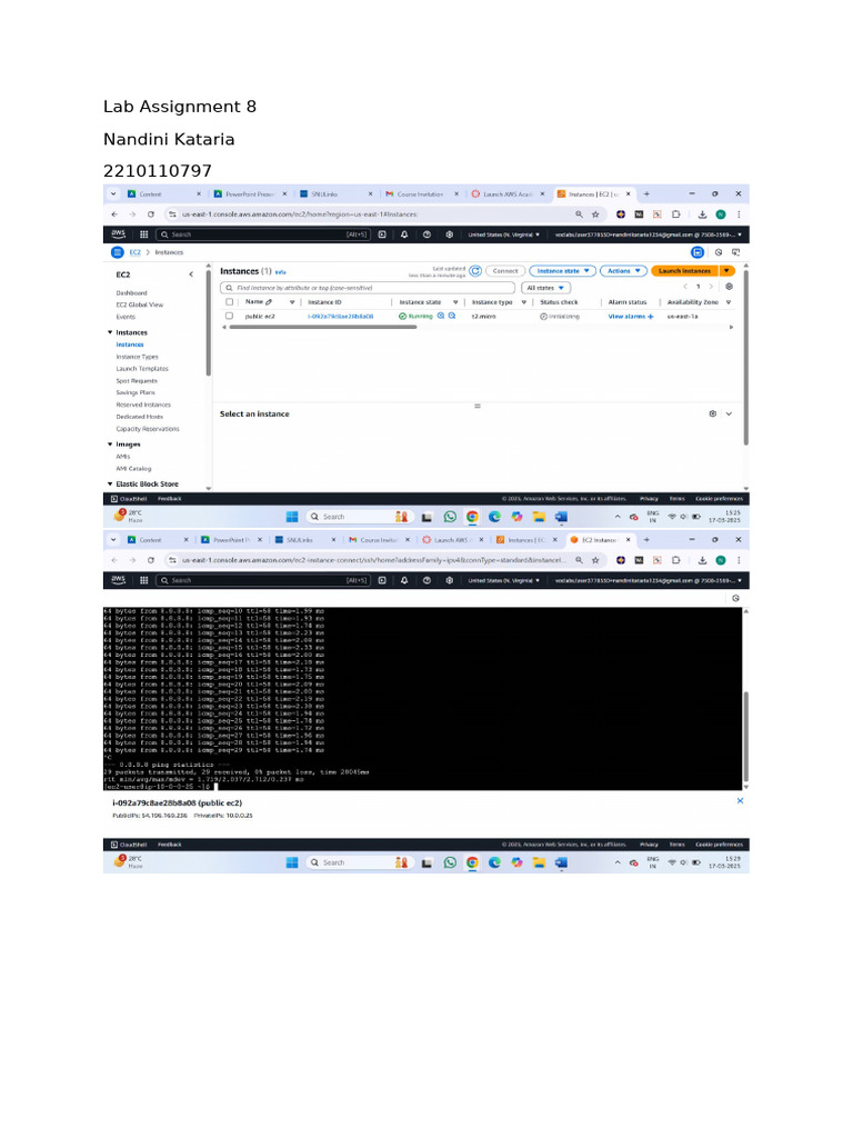 Lab8 2210110797 | PDF