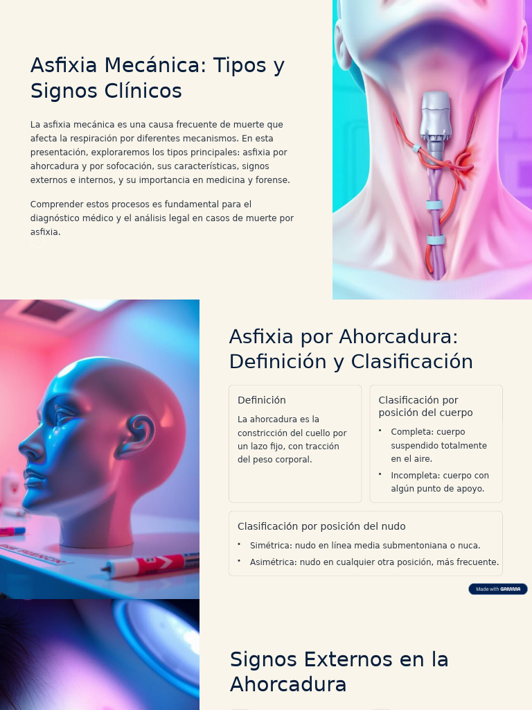 Asfixia Mecanica Tipos y Signos Clinicos | PDF | Sistema respiratorio ...