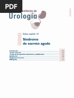 Anatomía del Escroto y Testículos | PDF | Testículo | Especialidades ...