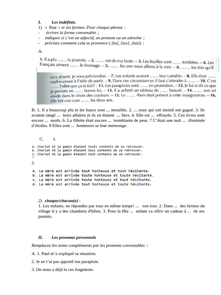Indéfinis et pronoms en français | PDF