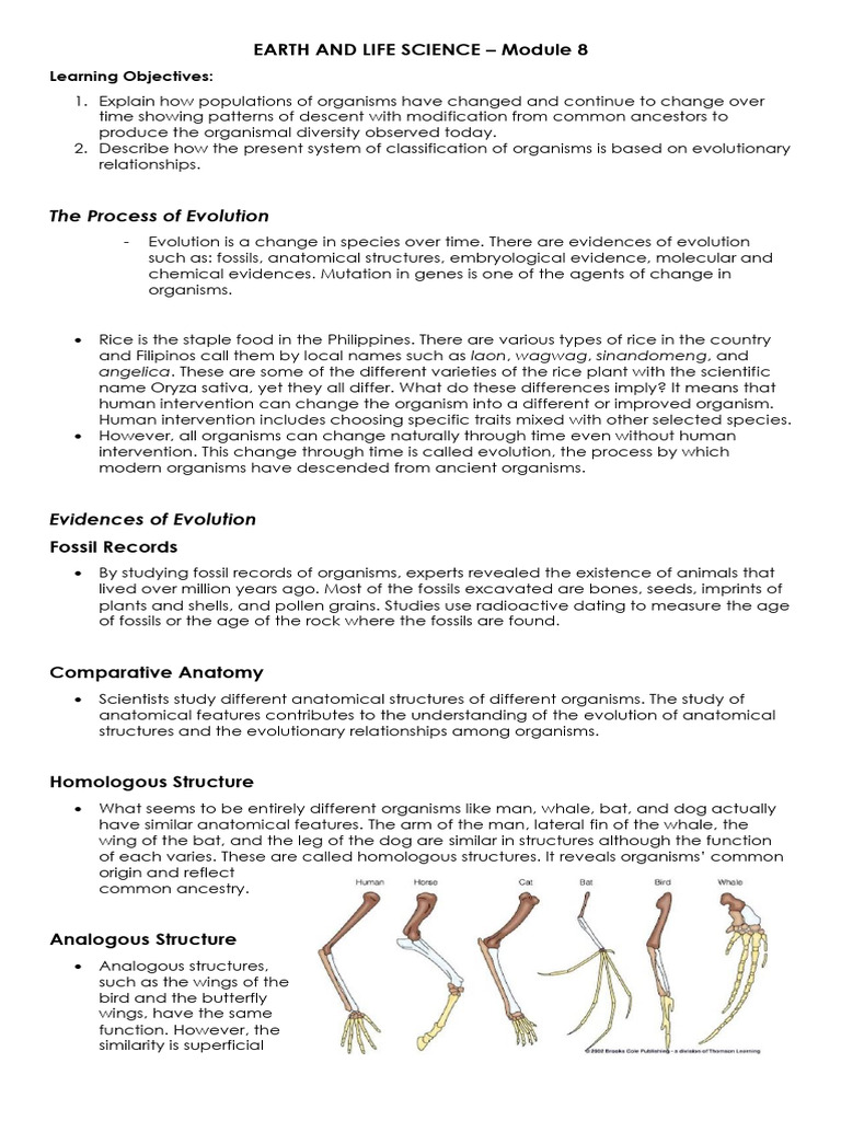 Pointers For Exam - ELS - M8 | PDF | Evolution | Genetics