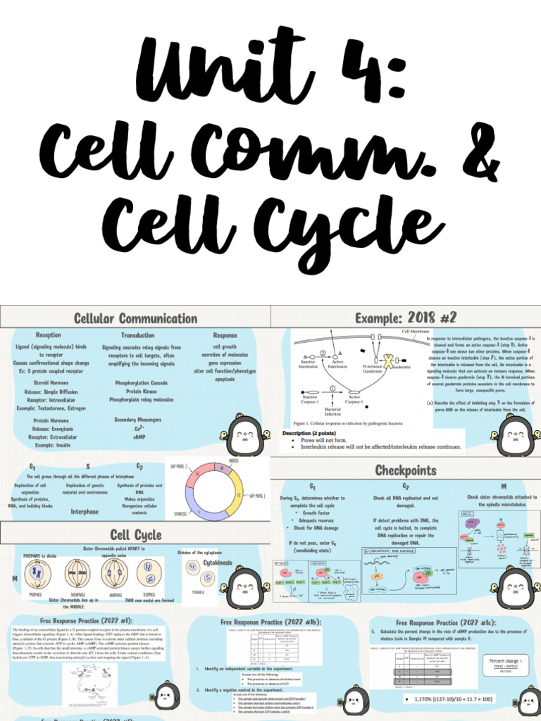 Unit 4 One-Pagers Ap Bio Penguins | PDF