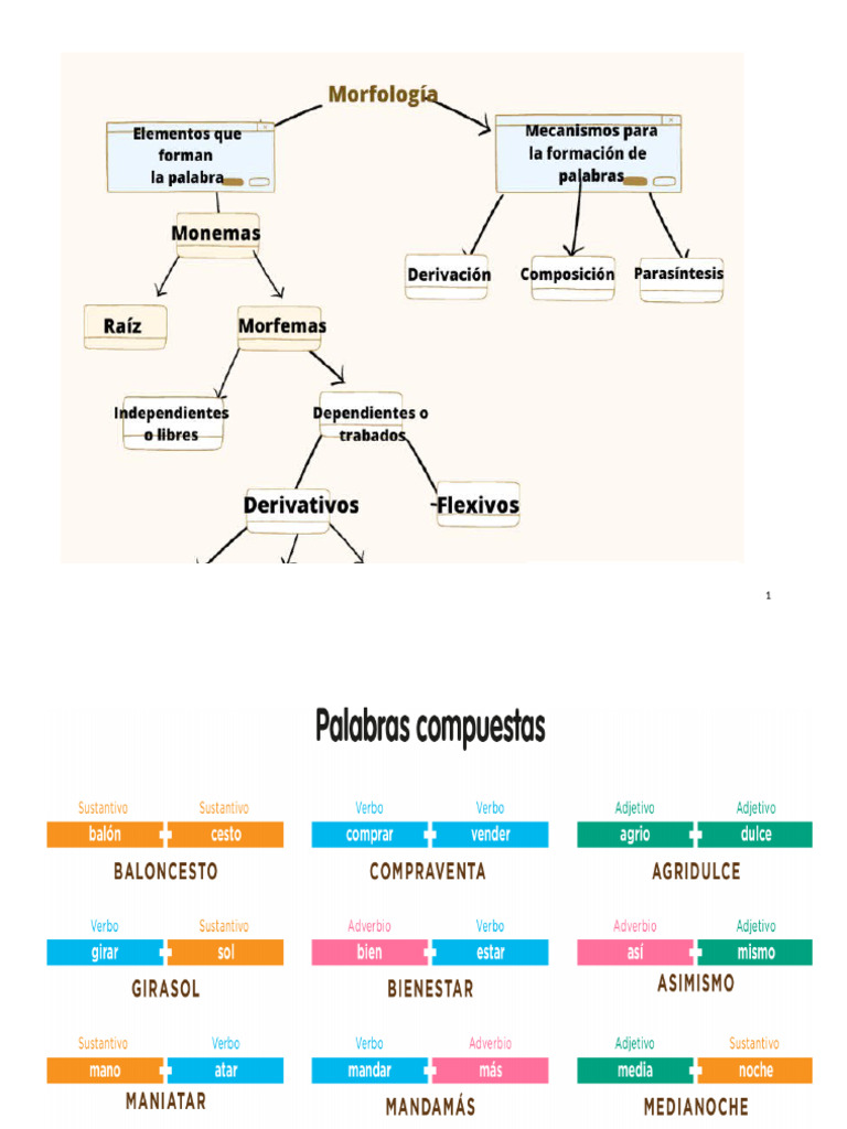 Palabras Compuestas | PDF