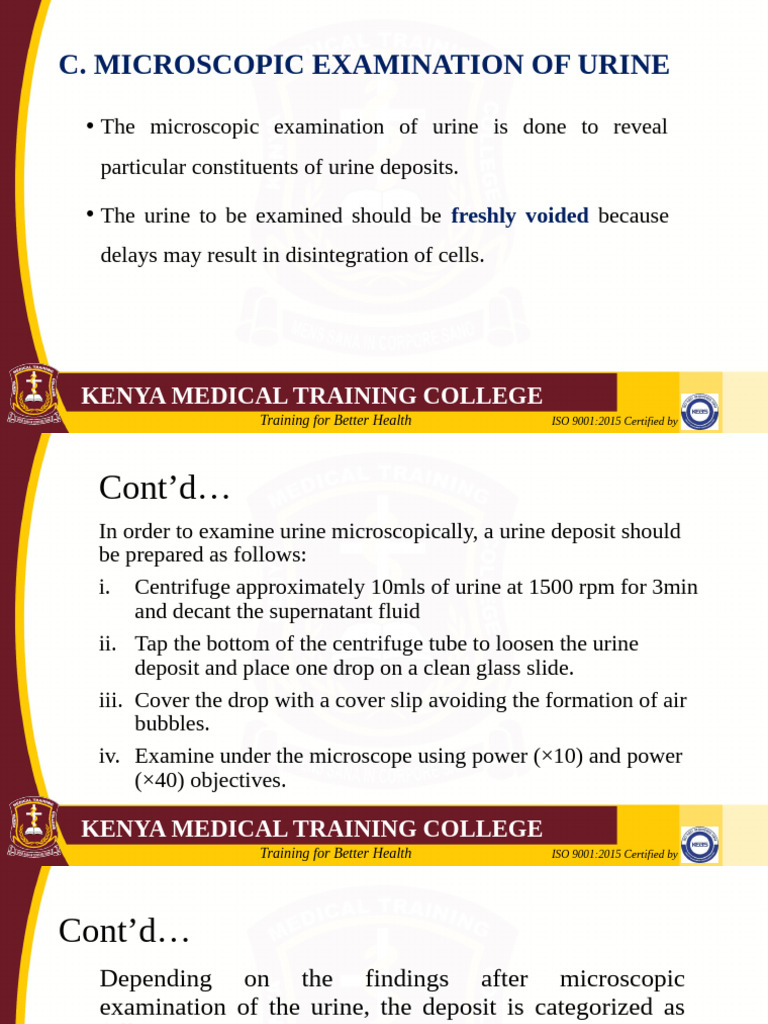 Microscopic Examination of Urine | PDF | Urinary Tract Infection | Kidney