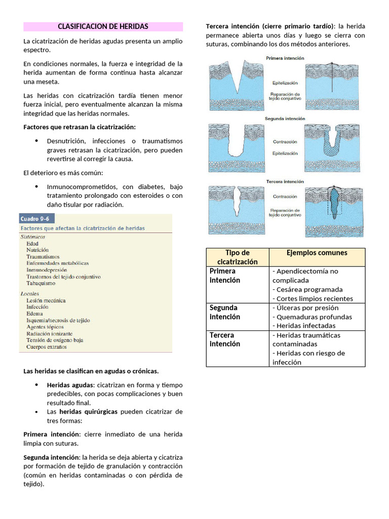 Clasificacion de Heridas | PDF | Herida | Cicatrización de la herida