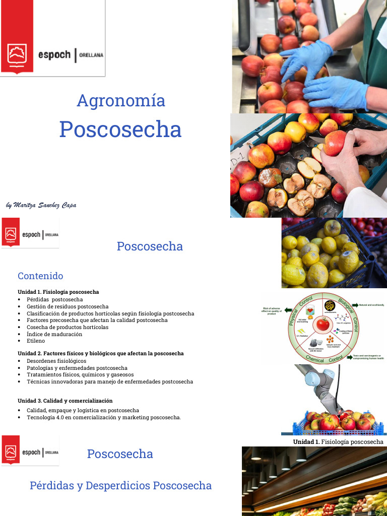 Perdidas y Desperdicios Poscosecha | PDF | Cosecha | Residuos