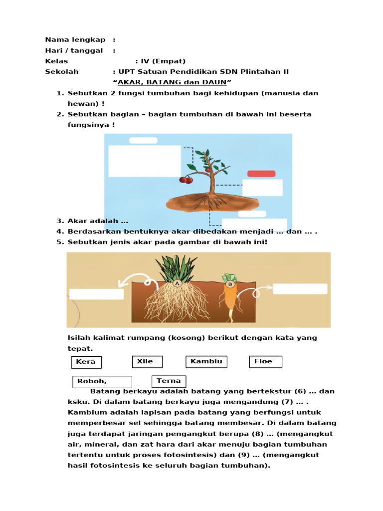 Tumbuhan Berkayu: Mangga dan Jambu | PDF